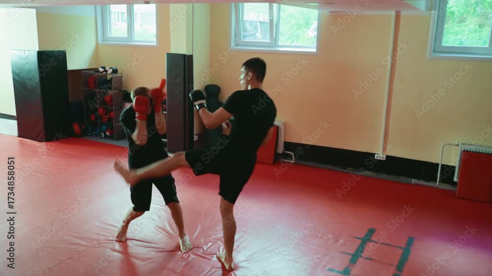 Two boxers facing each other in martial arts gym kicking and throwing ...