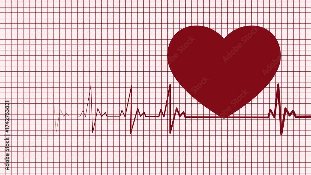 ECG Line Animation in Flat Minimal Medical Monitor Display for Motion ...
