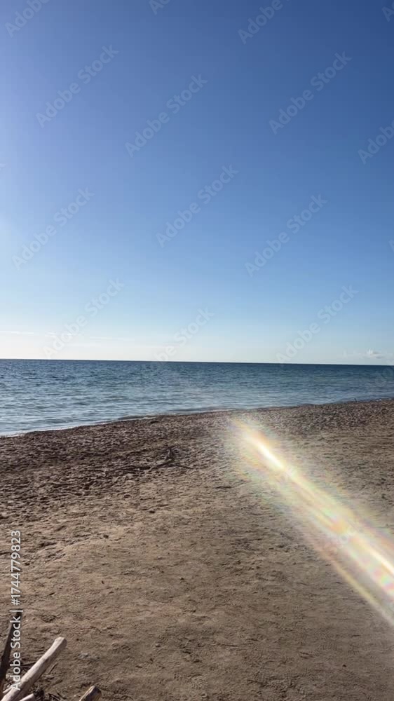 Summer at the White Cliffs of Mons Klint, at Dronningstolen, in the ...