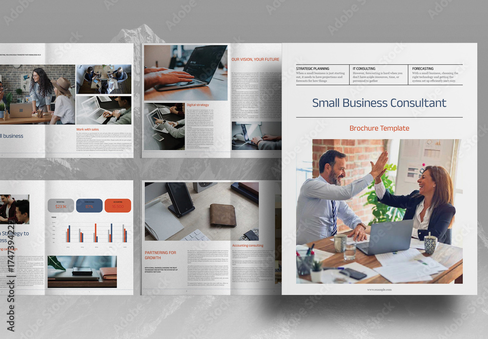 Small Business Consultant Brochure Layout Stock Template | Adobe Stock