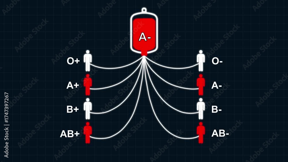 Detailed blood group compatibility chart illustrating all possible ...
