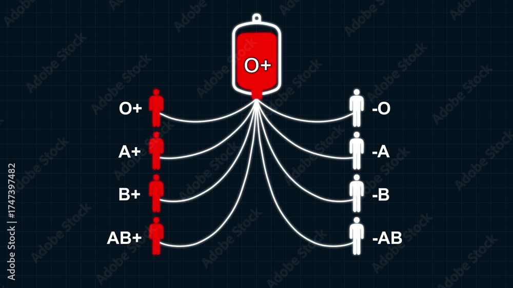 Detailed blood group compatibility chart illustrating all possible ...