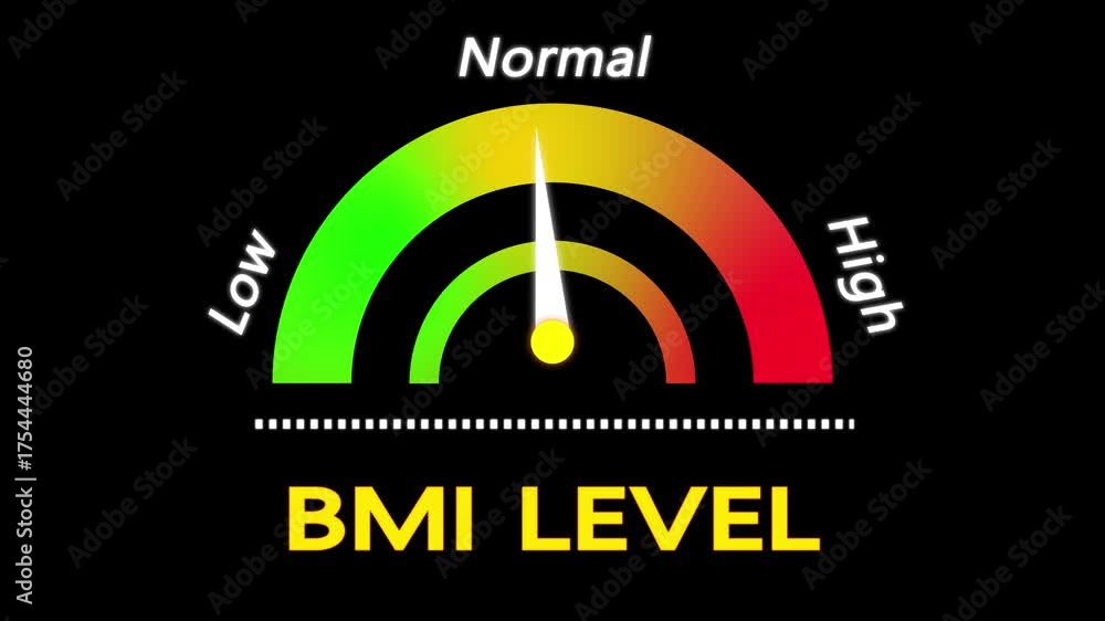 BMI level meter overweight animation. Body mass index gauge scale, High ...