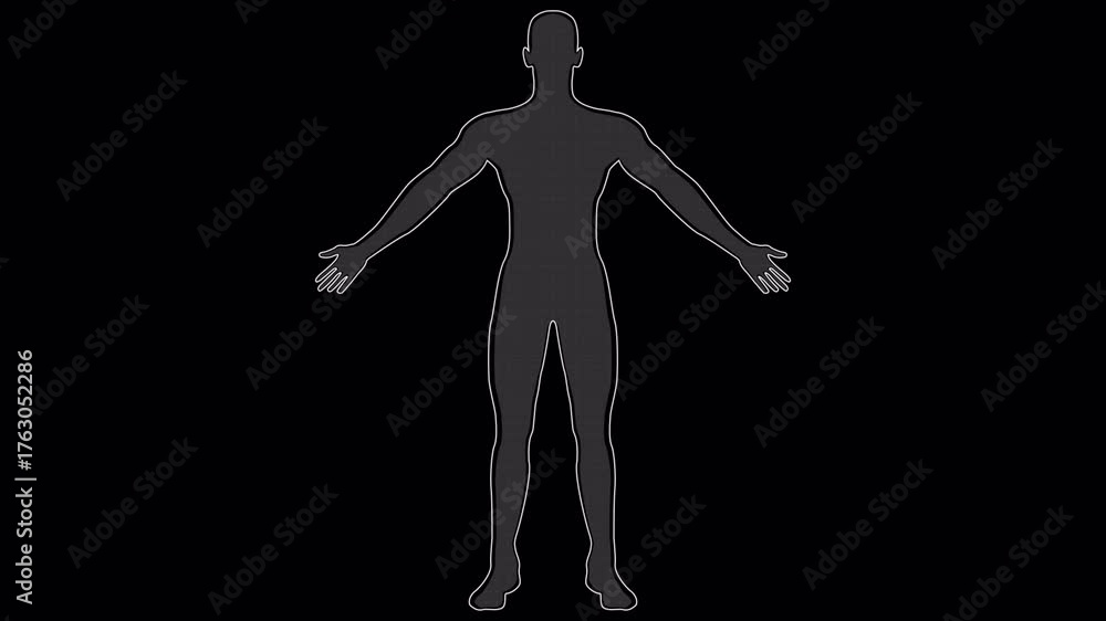 Dynamic Human Body Outline with Grid Pattern Animation on Black ...