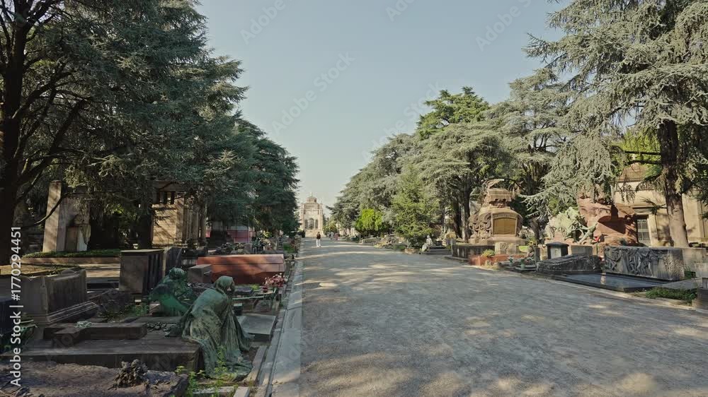 Wide View of Tree-Lined Avenue at Cimitero Monumentale di Milano ...
