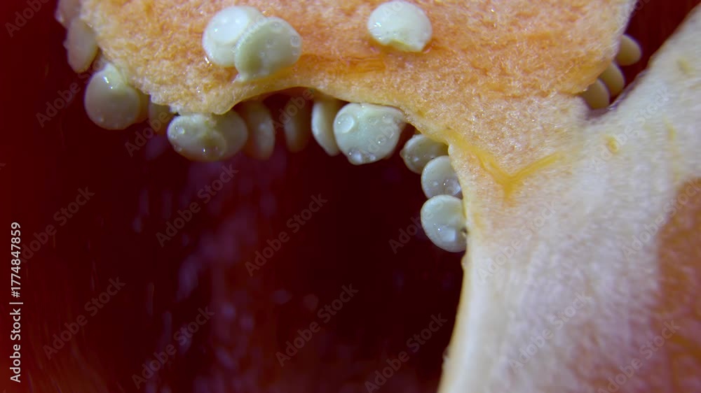 Paprika seeds (Capsicum annuum) macro: Cross section of fruit, plant ...