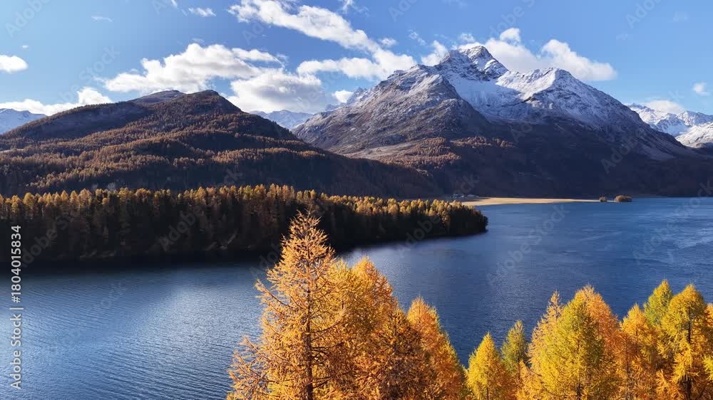 Brilliant golden autumn larch trees framing the blue waters of Lake ...