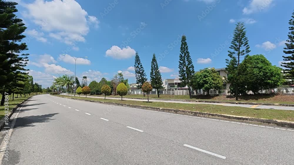 Decorative trees line the road median and roadside edges. They provide ...