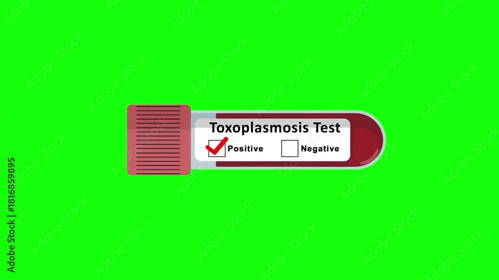 Toxoplasmosis test tube positive result animation on a green screen ...