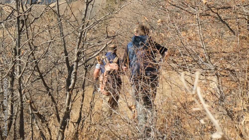 Two hikers walk along a difficult forest route filled with many ...