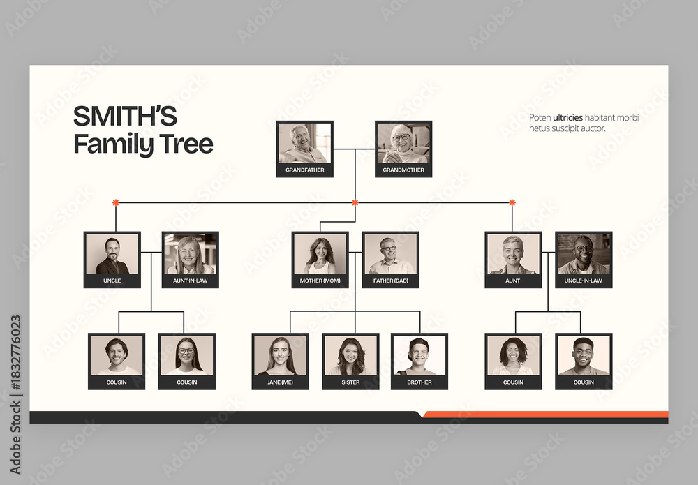 Family Tree Infographic Vector – Genealogy Chart, Ancestry Diagram ...