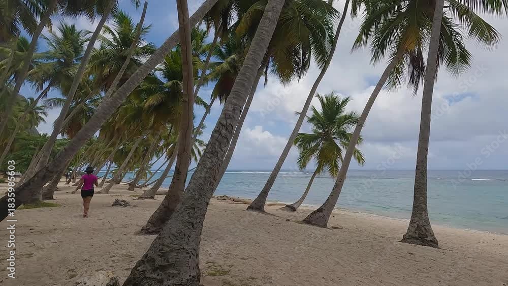 Playa fronton Samaná, República DominicanaLa cascada tiene una altura ...