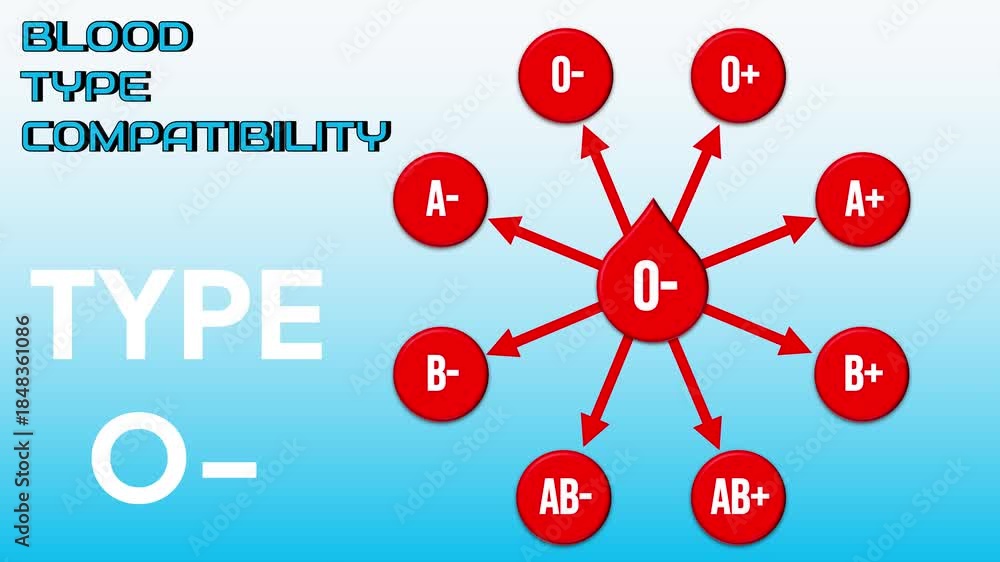 Blood Type Compatibility Flow Animation. A simple animation about blood ...