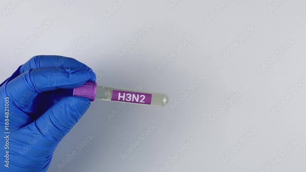 Microbiologist with a tube of H3N2 influenza virus. Viral diagnostic ...