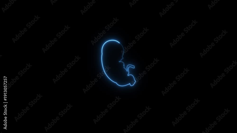 Baby embryo in womb neon glow animation on black background. uterine ...
