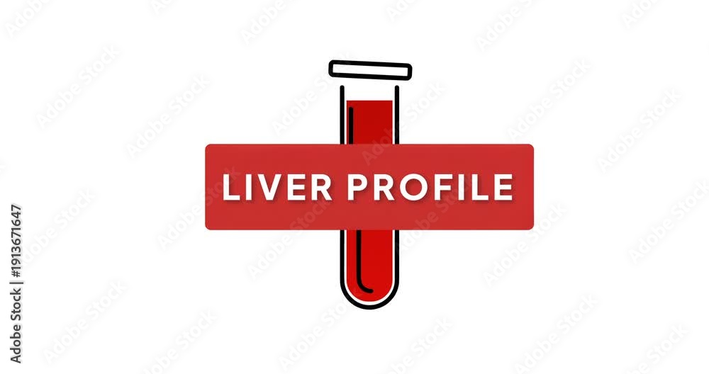 Liver Profile Test Animation – Hepatic Function Blood Diagnostic ...