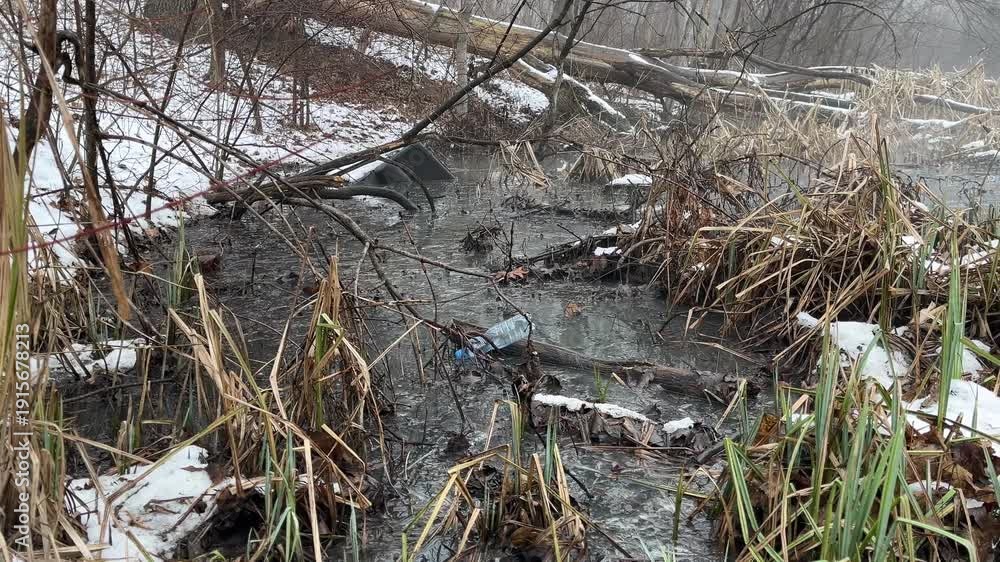 Garbage floating in a lake and stream showing water pollution with ...