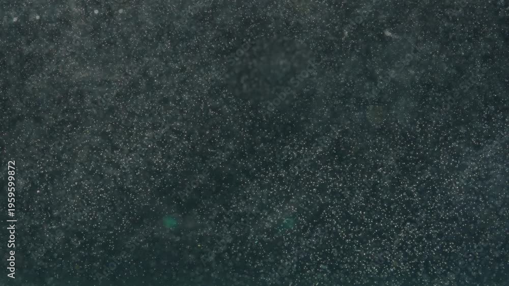 Dark water background with countless tiny suspended particles and soft ...