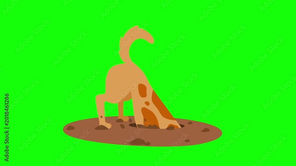Dog digging in dirt ground on green screen animation Stock Video ...