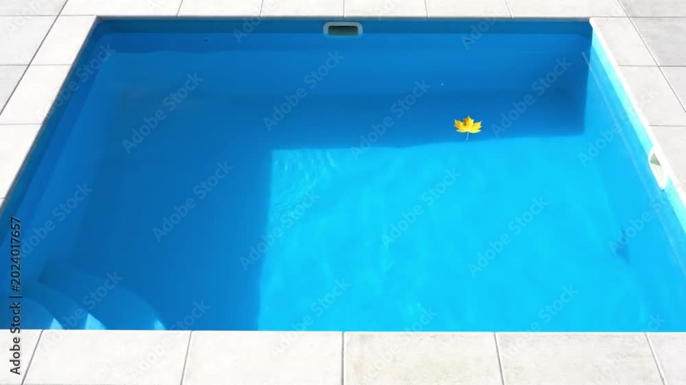 Single Yellow Leaf Floating in Blue Swimming Pool Stock Video | Adobe Stock