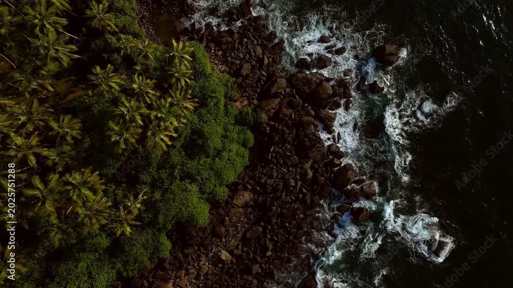 Sri Lanka Dondra Beach Drone Stock Video | Adobe Stock