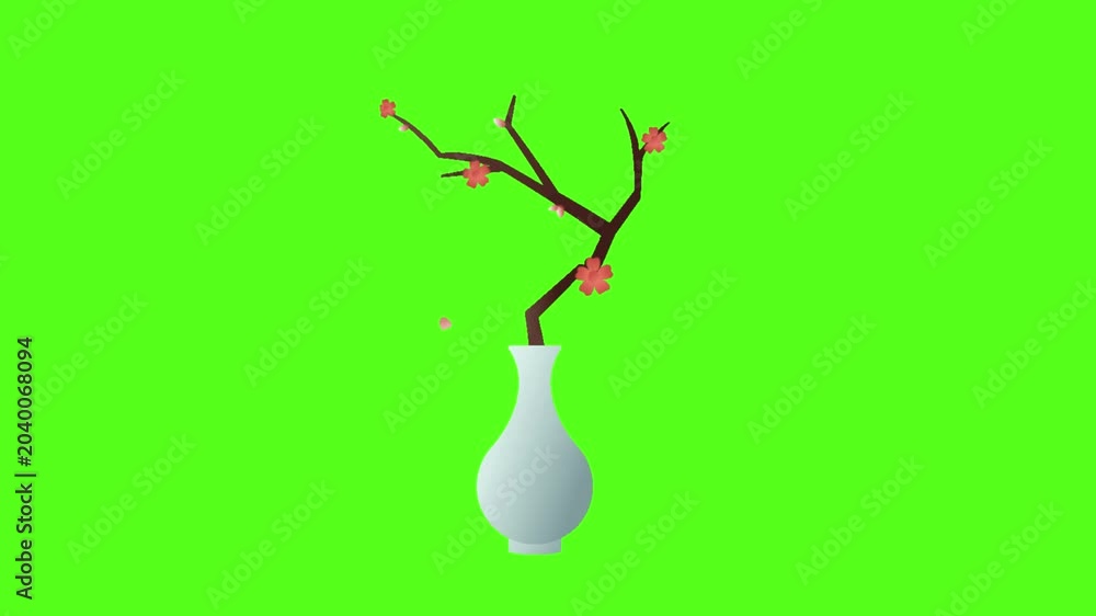 Animated cherry blossom branch in white vase on green screen background ...